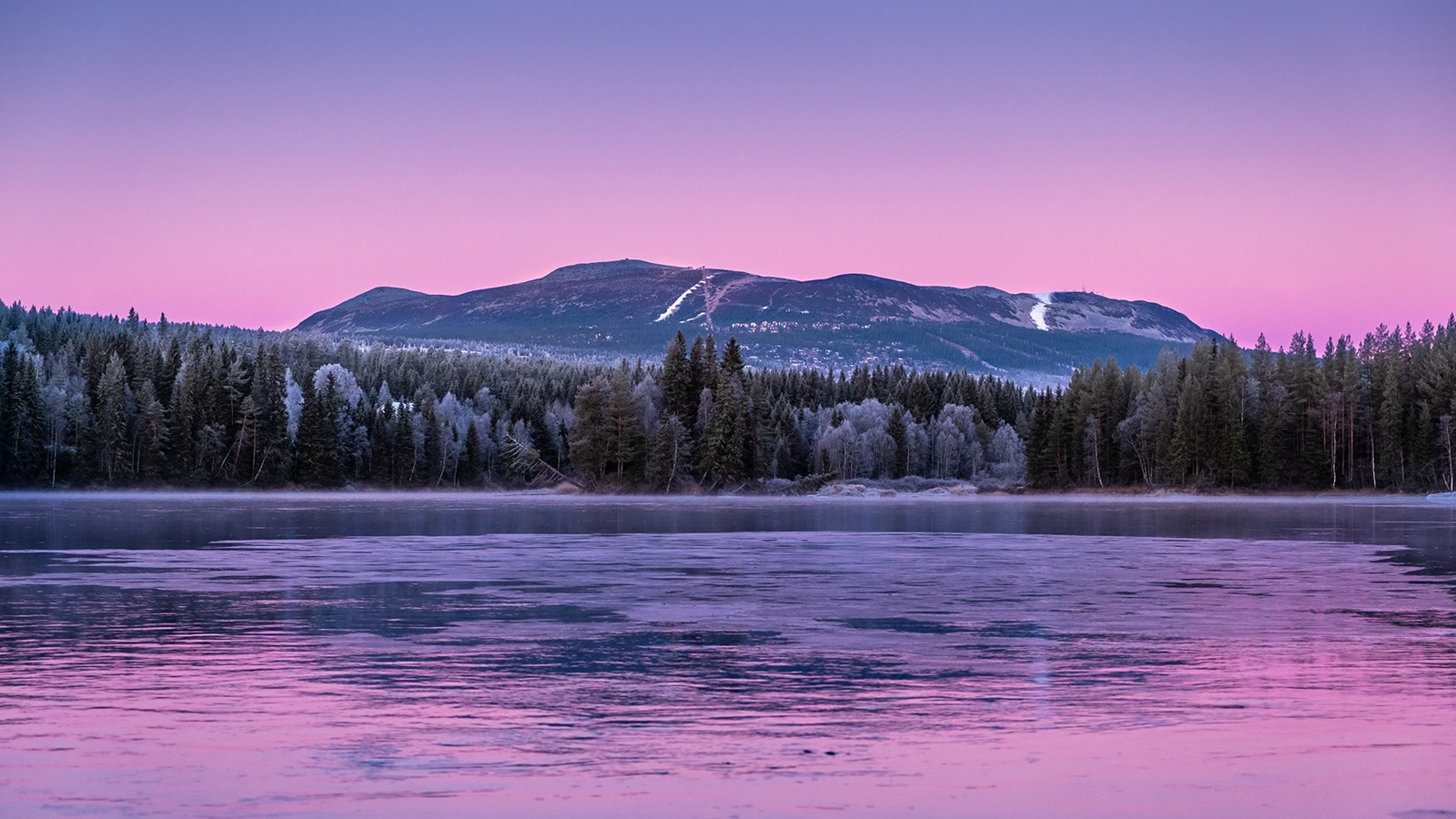 Trysil has signed the Greenwashing Poster